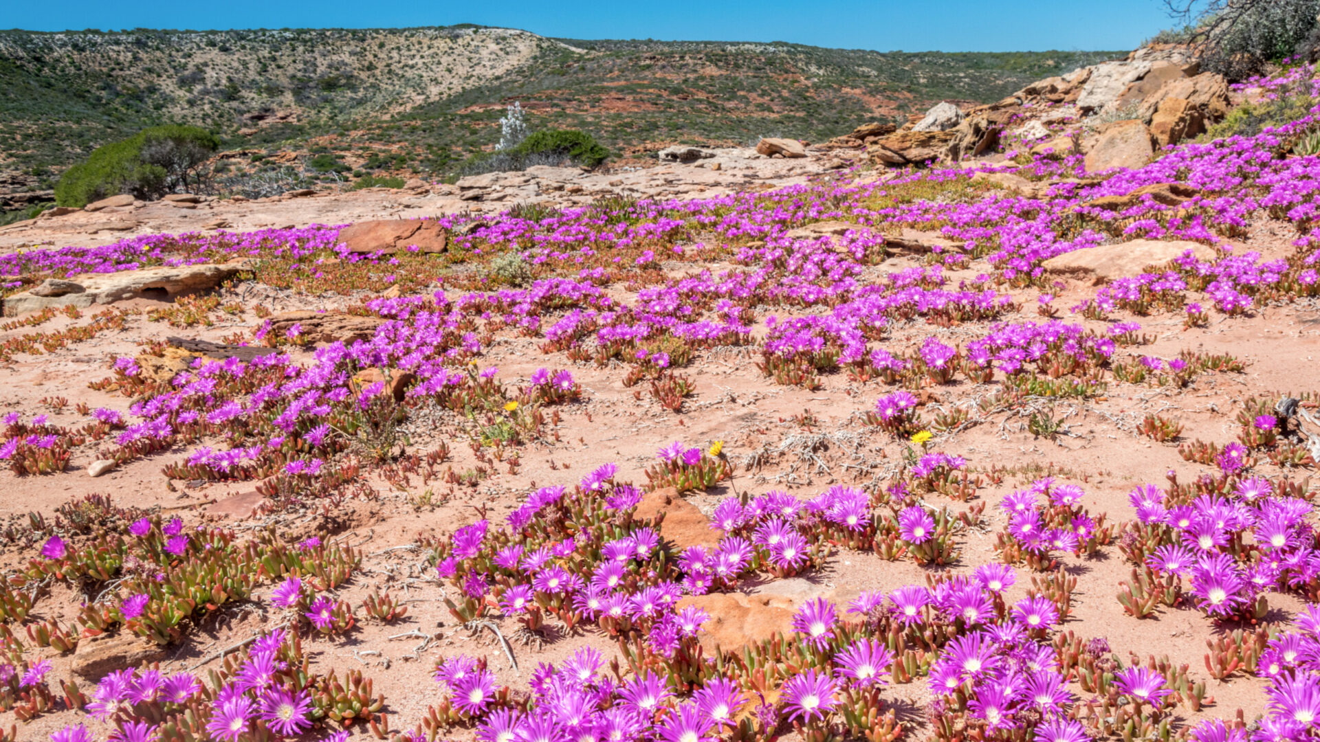 King's Birthday Public Holiday Closure - Ben Jeffcote