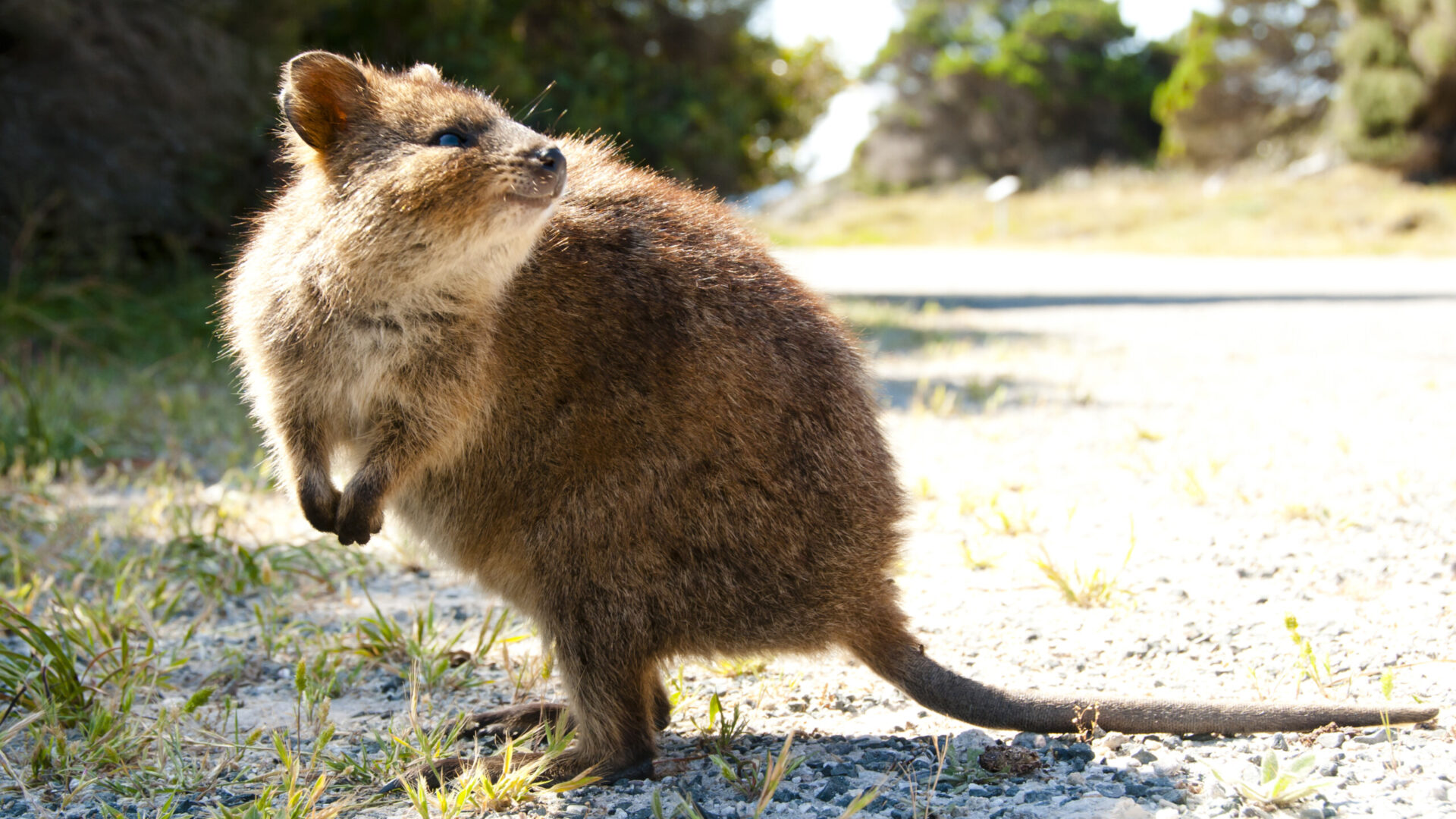 WA Day Public Holiday Closure - Ben Jeffcote